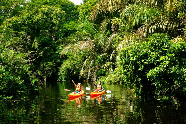 Costa Rica Expeditions / Costa Rica