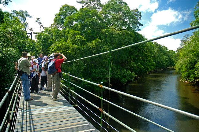Costa Rica Expeditions / Costa Rica