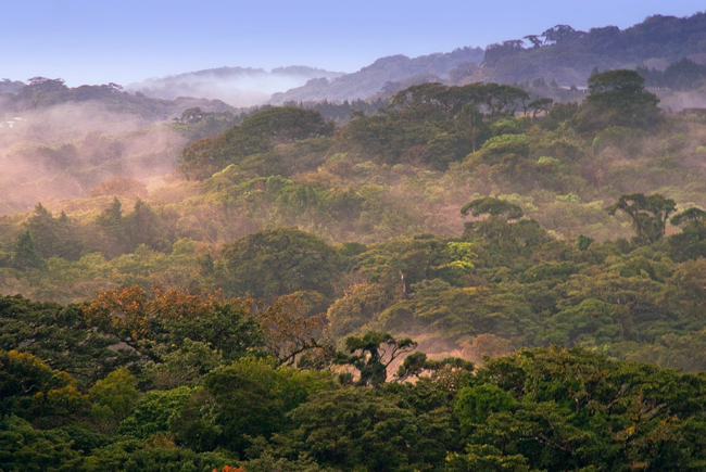 Costa Rica Expeditions / Costa Rica