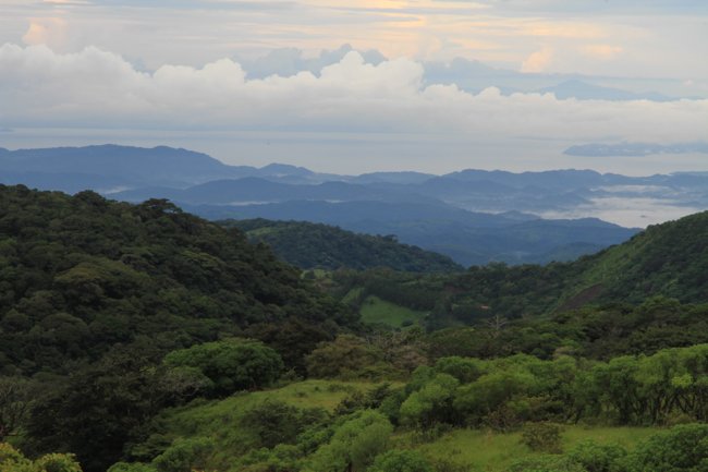 Costa Rica Expeditions / Costa Rica