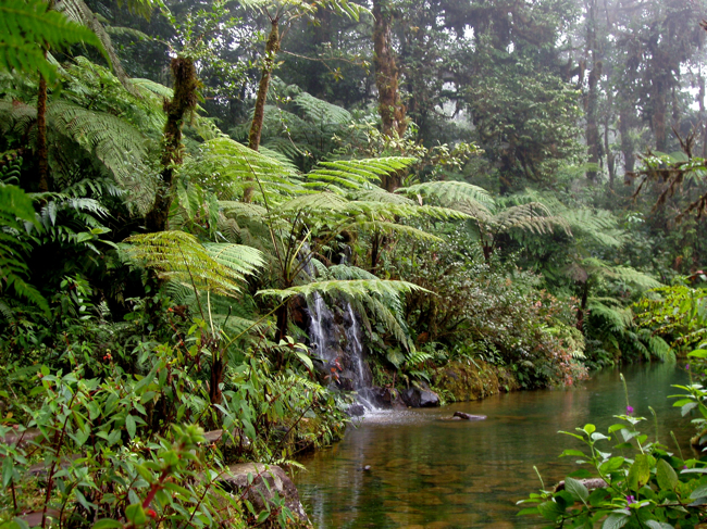 Costa Rica Expeditions / Costa Rica