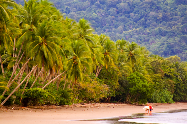 Costa Rica Expeditions / Costa Rica